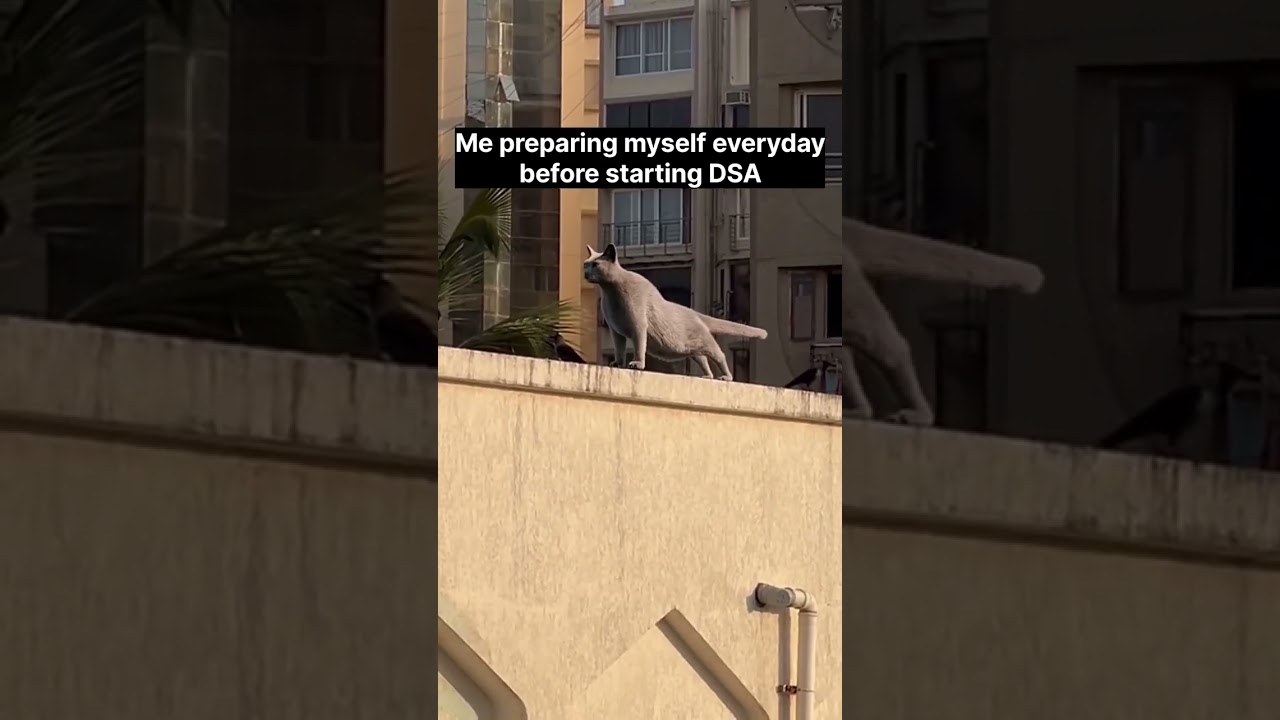 Preparing for the battle 🚀 #100daysofcoding #100daysofcode #python #challenge