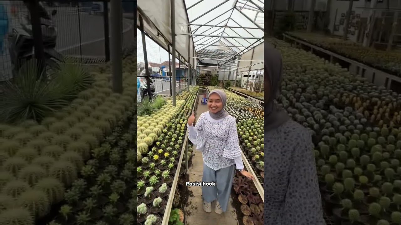 Gue Tunjukin Toko Tanaman Hias