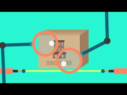 SSAE 16 Professionals, LLP - SSAE 16 SOC 1 Audit Overview