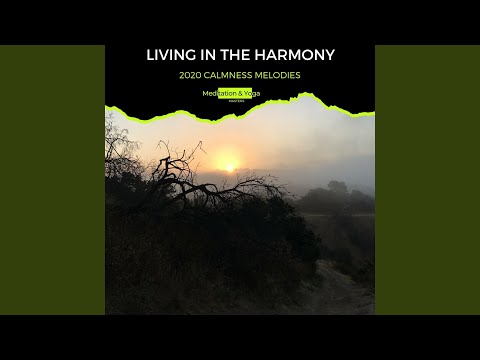 Synchronising Mind and Heart