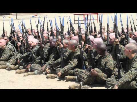 Week 2 | Transformation of Marines