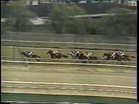 Rokeby Stables in the Voshburgh Invitational | Rokeby Stables