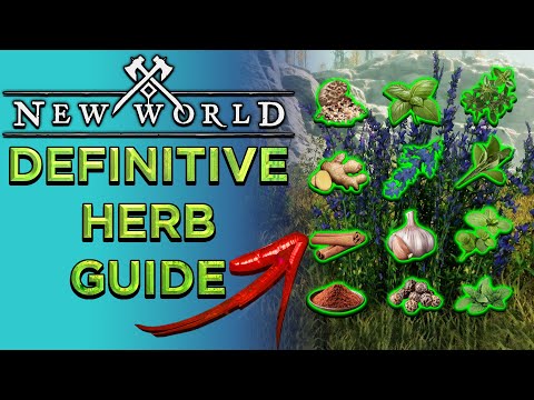 Definitive Herb Guide - All 12 Herb Ingredient Locations