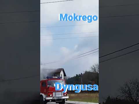 Mokrego dyngusa