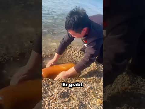 ER FINDET EIN SELTENES GLÄNZENDES OBJEKT UNTER DEM SAND! 😱