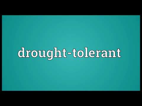 Drought tolerant Meaning