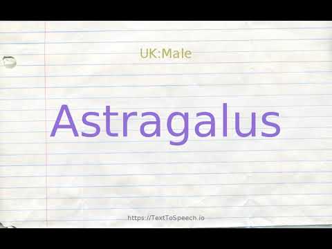 How to pronounce astragalus