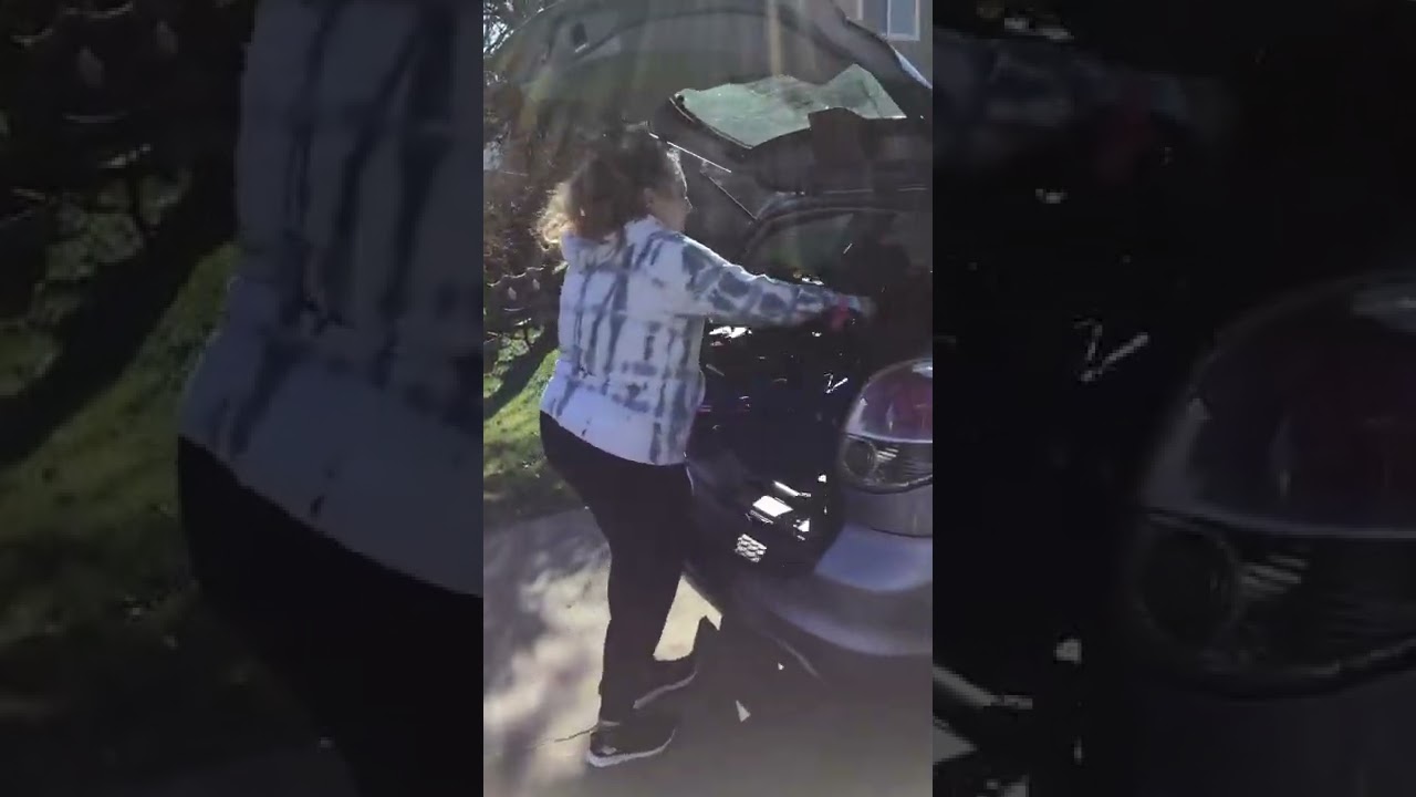 How To Put In and Take Out The Quickie Iris From The Car With One Person