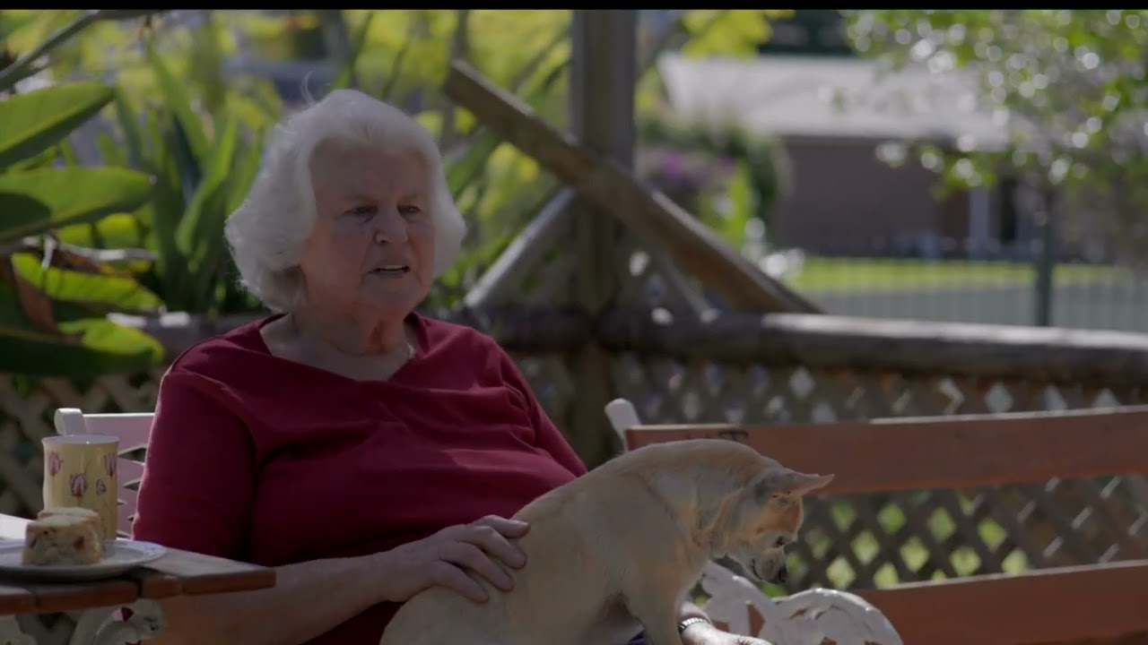 Accessibility Expert Advertisement