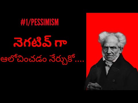 Philosophy Of Pessimism అంటే?? / Telugu Cynic