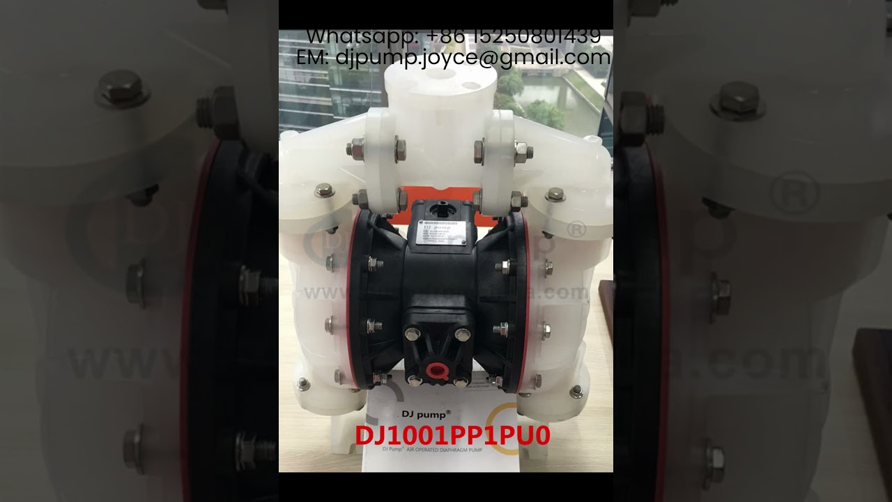 DJ 1'' PP air operated double diaphragm pumps