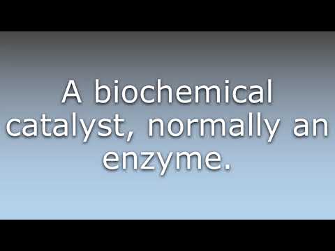What does Biocatalyst mean?
