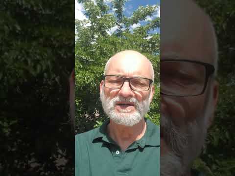 "Nosey" Meaning In English #shorts