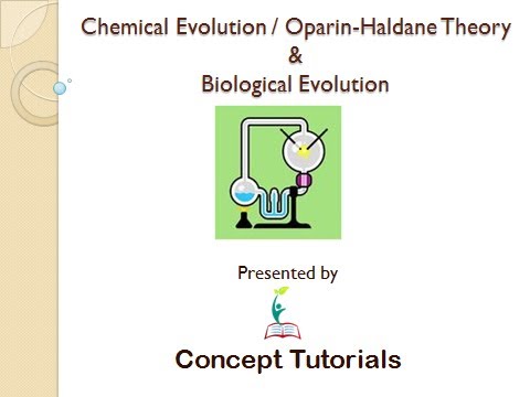 Chemical Evolution | Evolution (Part 1) | Class 12