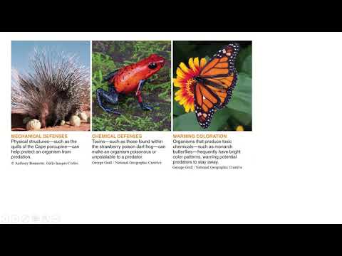 Ecosystems pt3 Niches