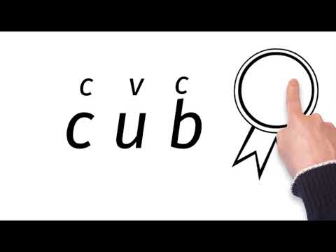 cub