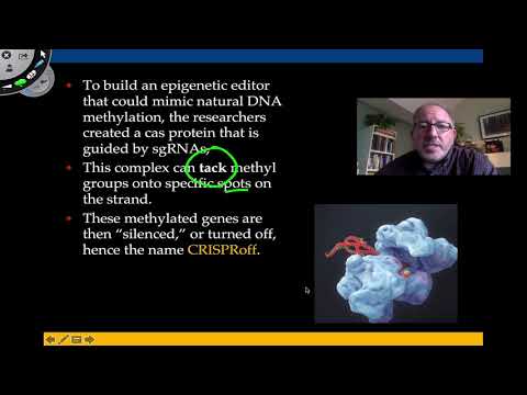CRISPR-on and CRISPR-off Next Level Gene Editing