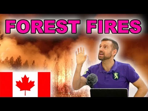 Forest Fires in Canada