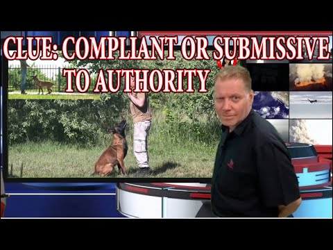 BUILDING ENGLISH VOCABULARY | CLUE: COMPLIANT OR SUBMISSIVE TO AUTHORITY