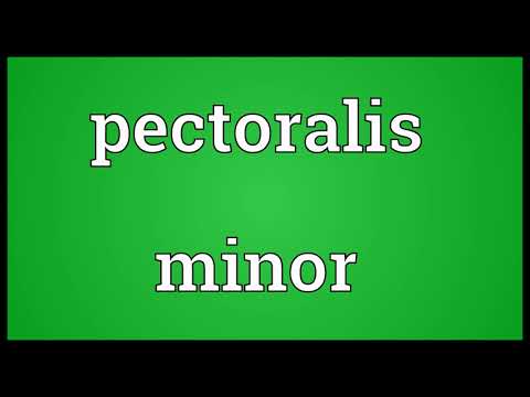 Pectoralis minor Meaning
