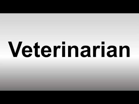 How to Pronounce Veterinarian