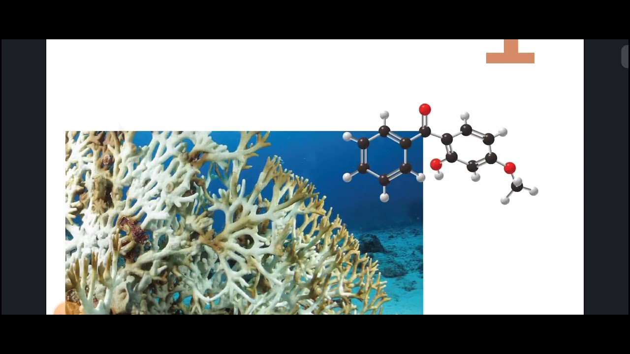Organic Chemistry by Janice Smith || Explanation in Urdu/Hindi || session 01