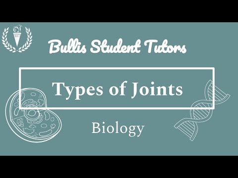 Types of Joints | Human Joints | Human Body Structure | Biology | Anatomy