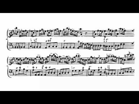 Francesco Mancini - Sonata VIII for recorder and B.C. part 1 Largo