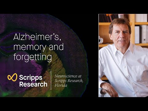 Alzheimer’s, memory and forgetting: neuroscience at Scripps Research, Florida