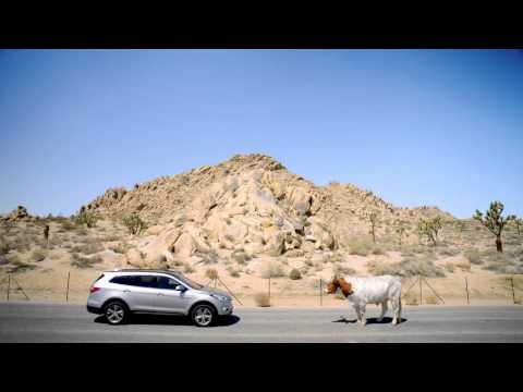 Best Hyundai Dealer in Bentonville AR | Best Hyundai Dealership in Bentonville AR