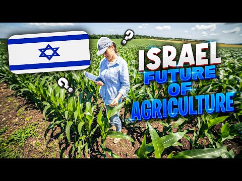 How Israel Became The Most Advanced Country in Agriculture?