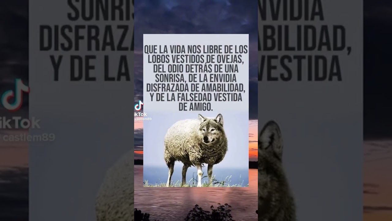 mensaje para reflexionar,😊 falsos amigos 😊