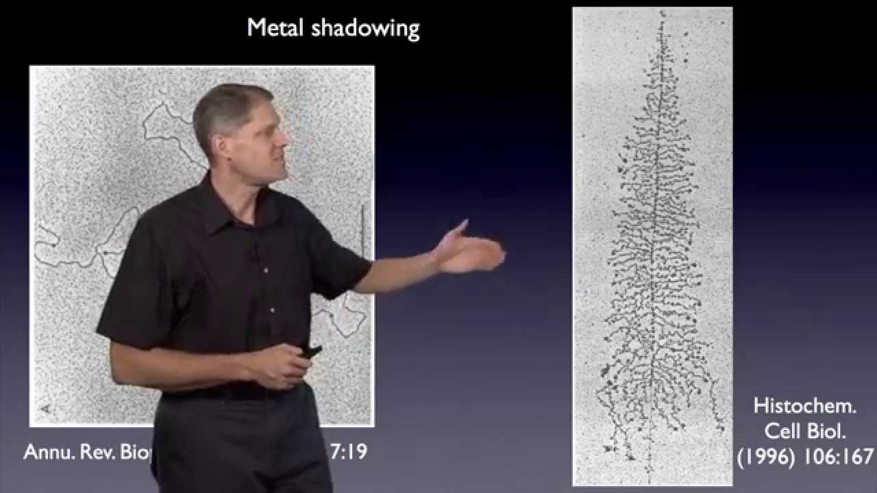Part 4: Sample Prep: Room Temperature Methods - G. Jensen