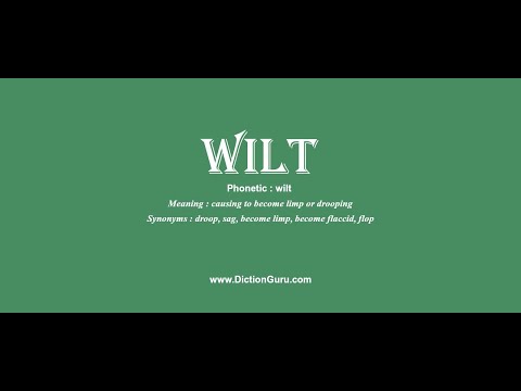 wilt: How to pronounce wilt with Phonetic and Examples