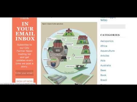 Huge Meta Study: The Pros and Cons of Urban Farming