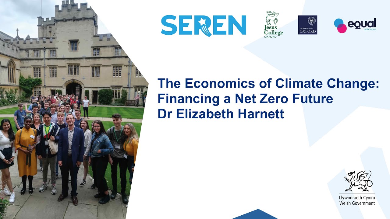 The Economics of Climate Change: Financing a Net Zero Future