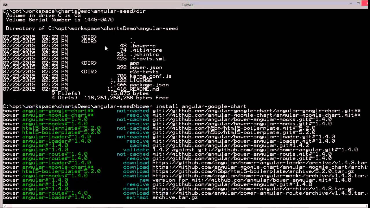 Installing Angular Google Chart
