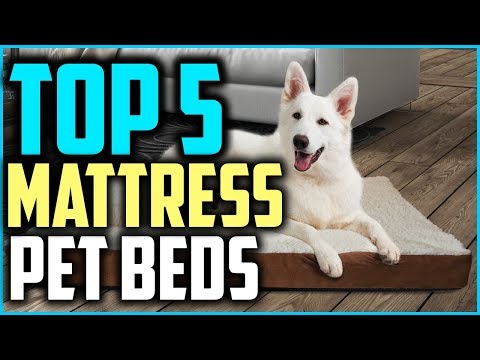 ✅Top 5 Best Mattress Pet Beds of 2024 Reviews