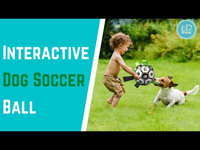 Interactive Soccer Ball With Tabs Inflated Training Toy