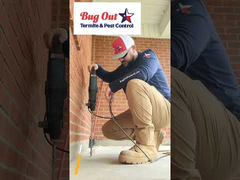 Sweetwater Texas #termites
