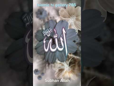 Islamic pictures #islamicvideo #beautiful #allahkenaam #islamic tvgellery786