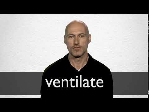 VENTILATE 释义 | 柯林斯英语词典