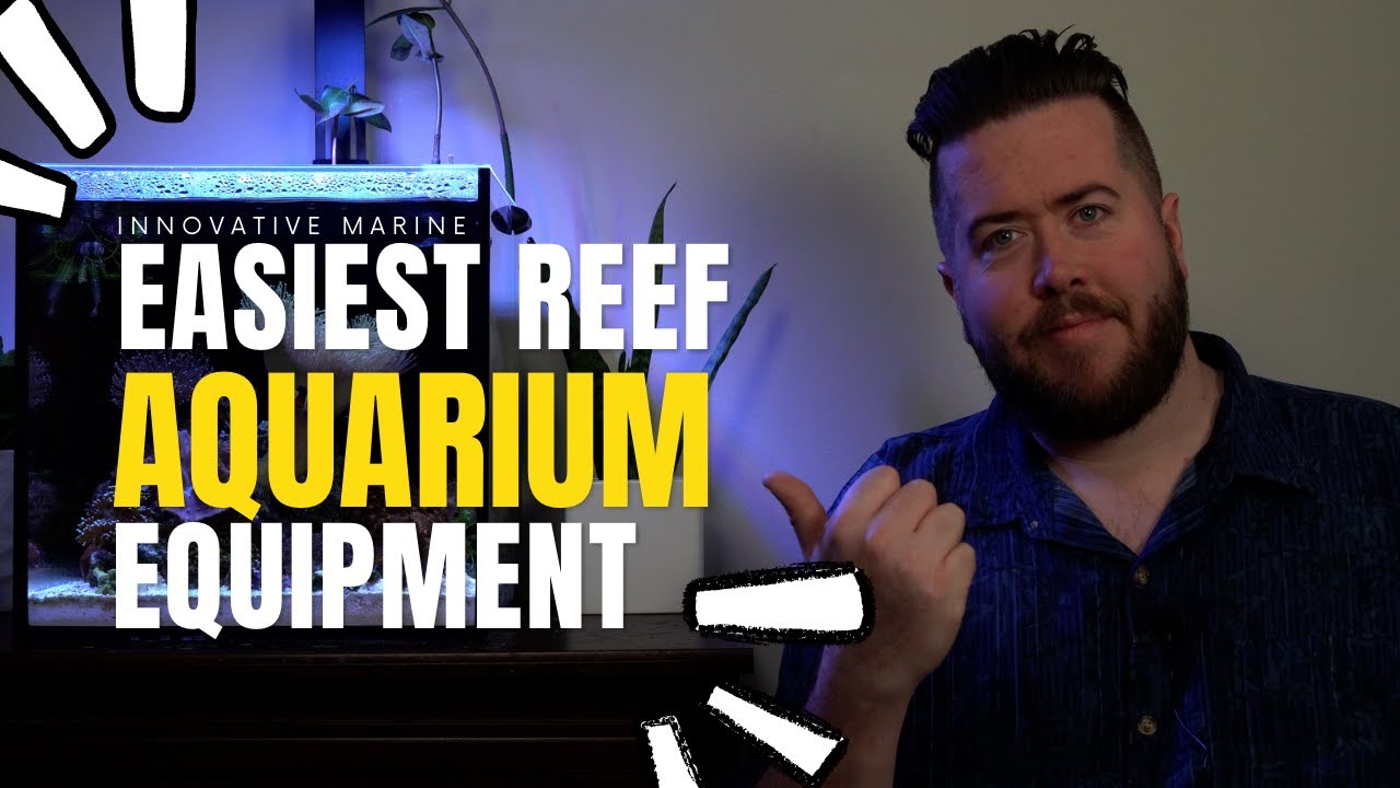 My Innovative Marine Fusion 15 - Easy Reef Equipment Breakdown