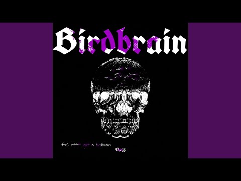 BIRDBRAIN