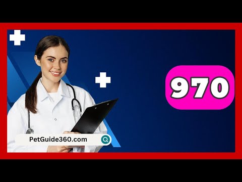970 - PetGuide360.com