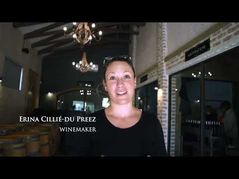Winemaking Update 2022