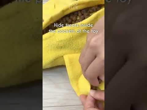 Cutest Duck Toy for Dogs | Interactive Nosework Dog Toys #shorts