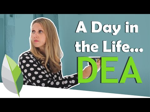 Day in the Life of a Domestic Energy Assessor