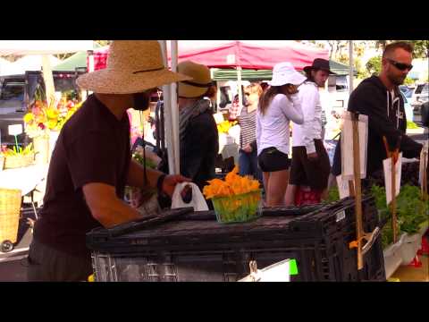 Novo Restaurant & Lounge keeps it Farmers' Market Fresh!