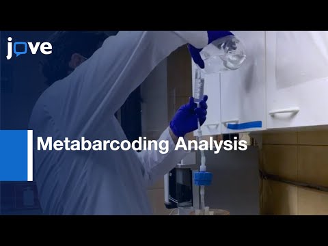 Harmful Algal Blooms Monitoring by Metabarcoding Analysis | Protocol Preview